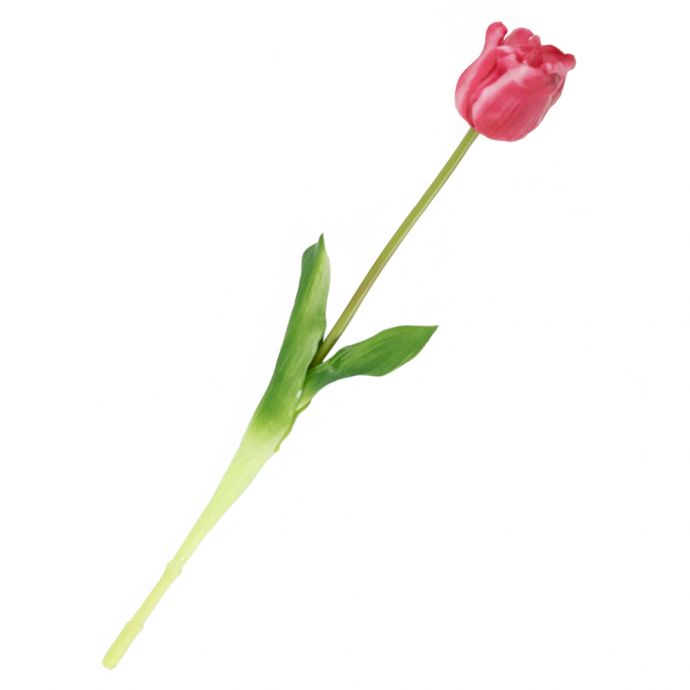 Kunst tulpen kopen? | Shop online! | DKW Woonvision